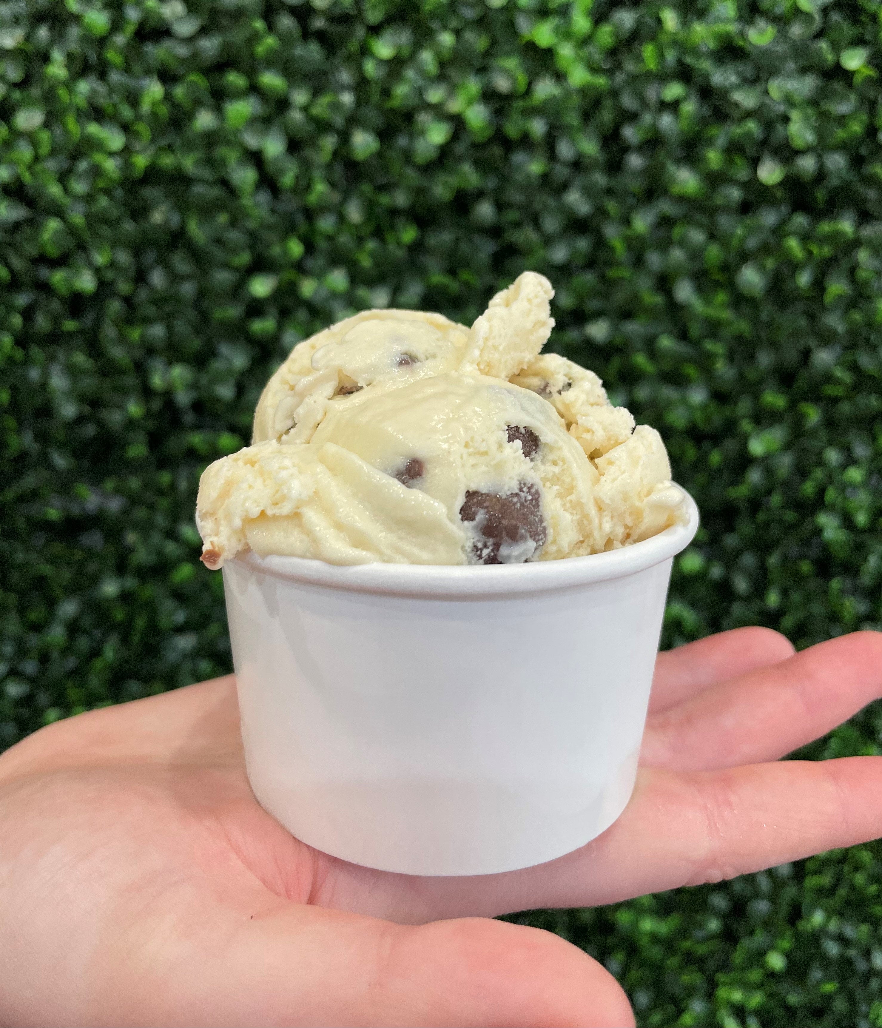 Brownie Caramel Ice Cream | Cecelia's and Vampire Penguin 1041 Central ...