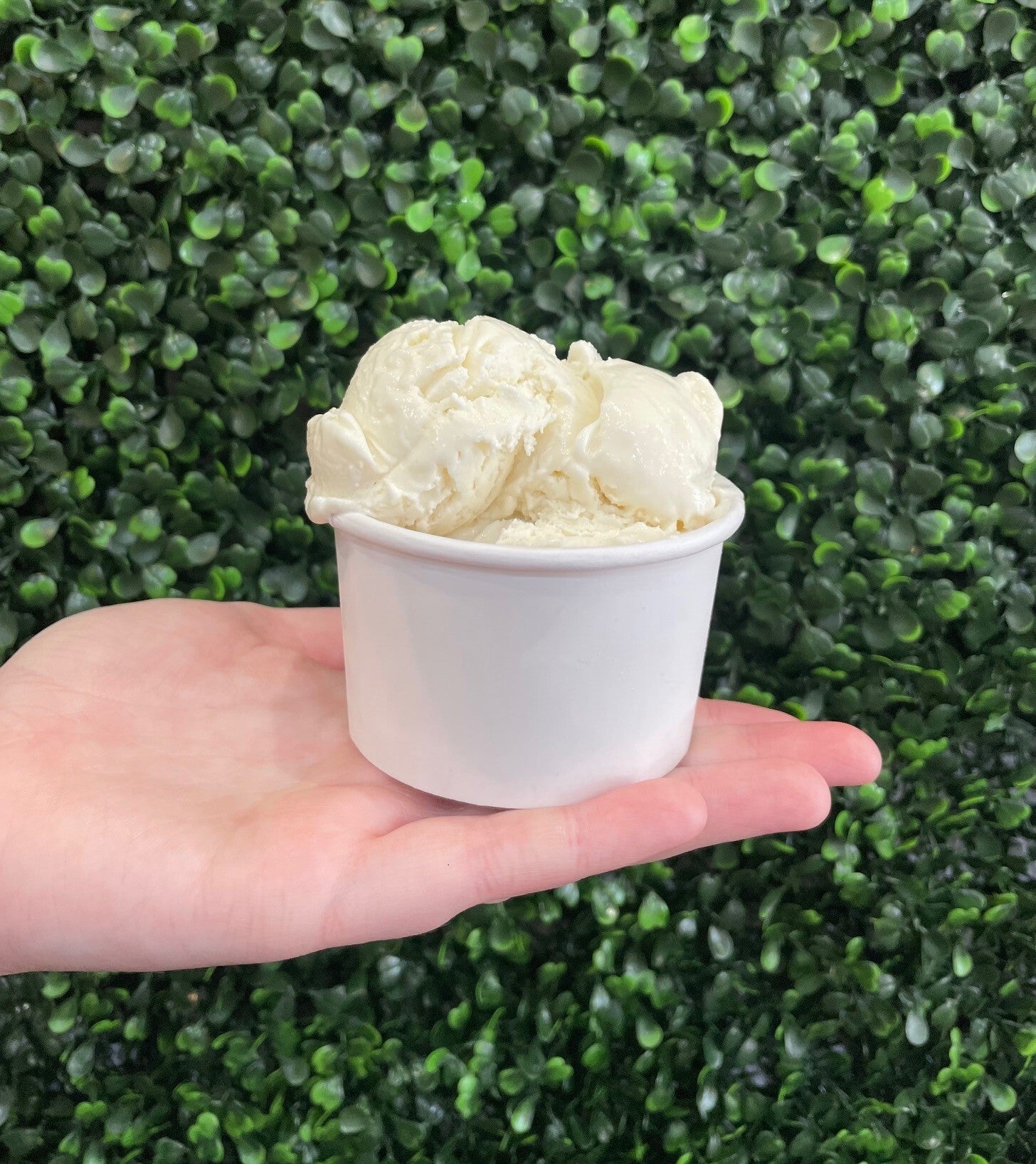 French Vanilla Ice Cream | Cecelia's and Vampire Penguin 1041 Central ...